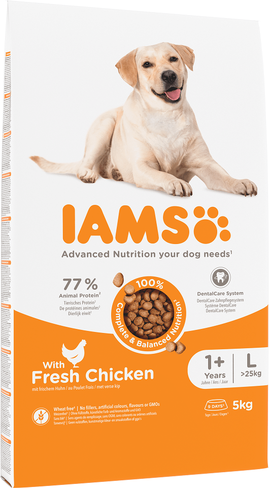 IAMS For Vitality Adult Large Breed Chicken 5 kg | FERA.HU