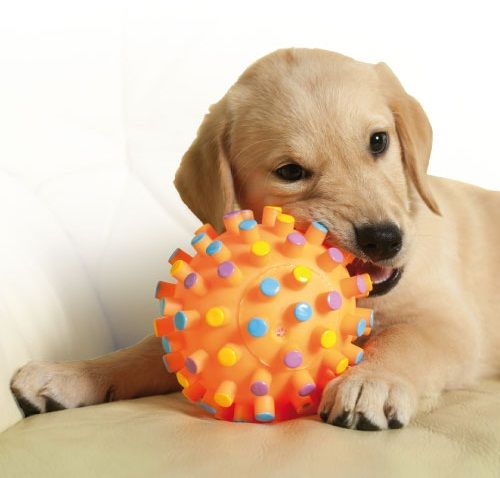 COMFY Játék jerry labda sünisárga95 :: Kutya :: Játék kutyáknak ...